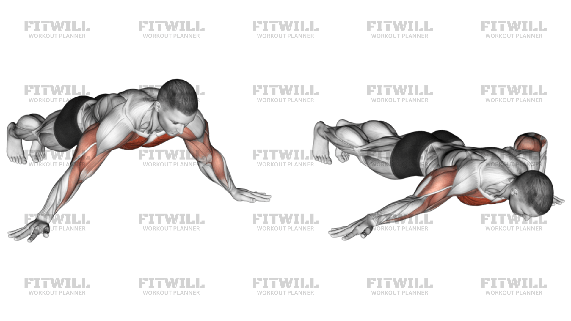 Flexão Arqueiro De Um Lado: Guia de Exercícios, Vídeo, Técnicas ...