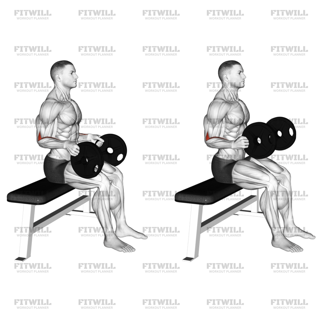 Weighted Seated Neutral Wrist Curl: Exercise Guide, Techniques ...