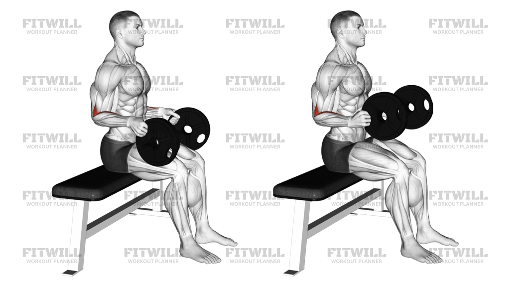 Weighted Seated Neutral Wrist Curl: Exercise Guide, Techniques ...