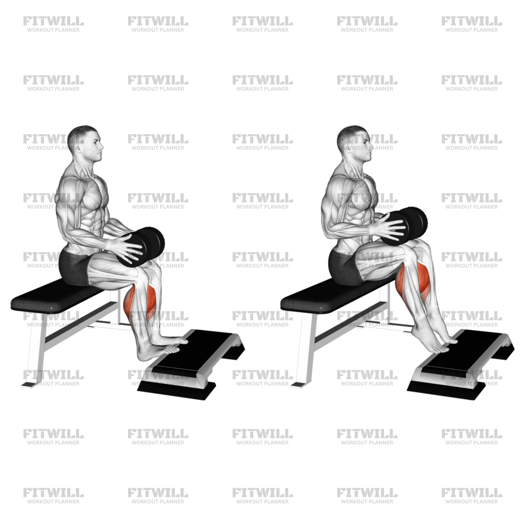 Weighted Seated Calf Raise: Exercise Guide, Techniques, Benefits, How ...