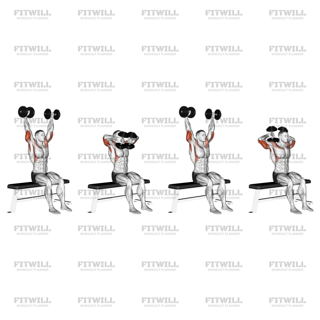 Dumbbell Seated Front And Back Tate Press: Exercise Guide, Techniques ...