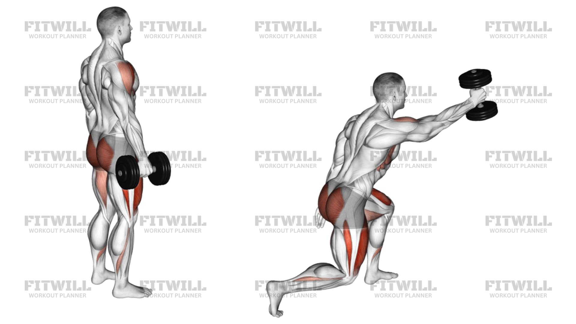 Dumbbell Rear Lunge Front Raise: Exercise Guide, Techniques, Benefits ...