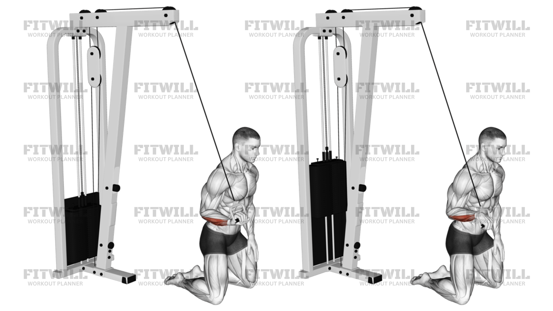 Cable One Arm Wrist Curl: Exercise Guide, Techniques, Benefits, How to ...