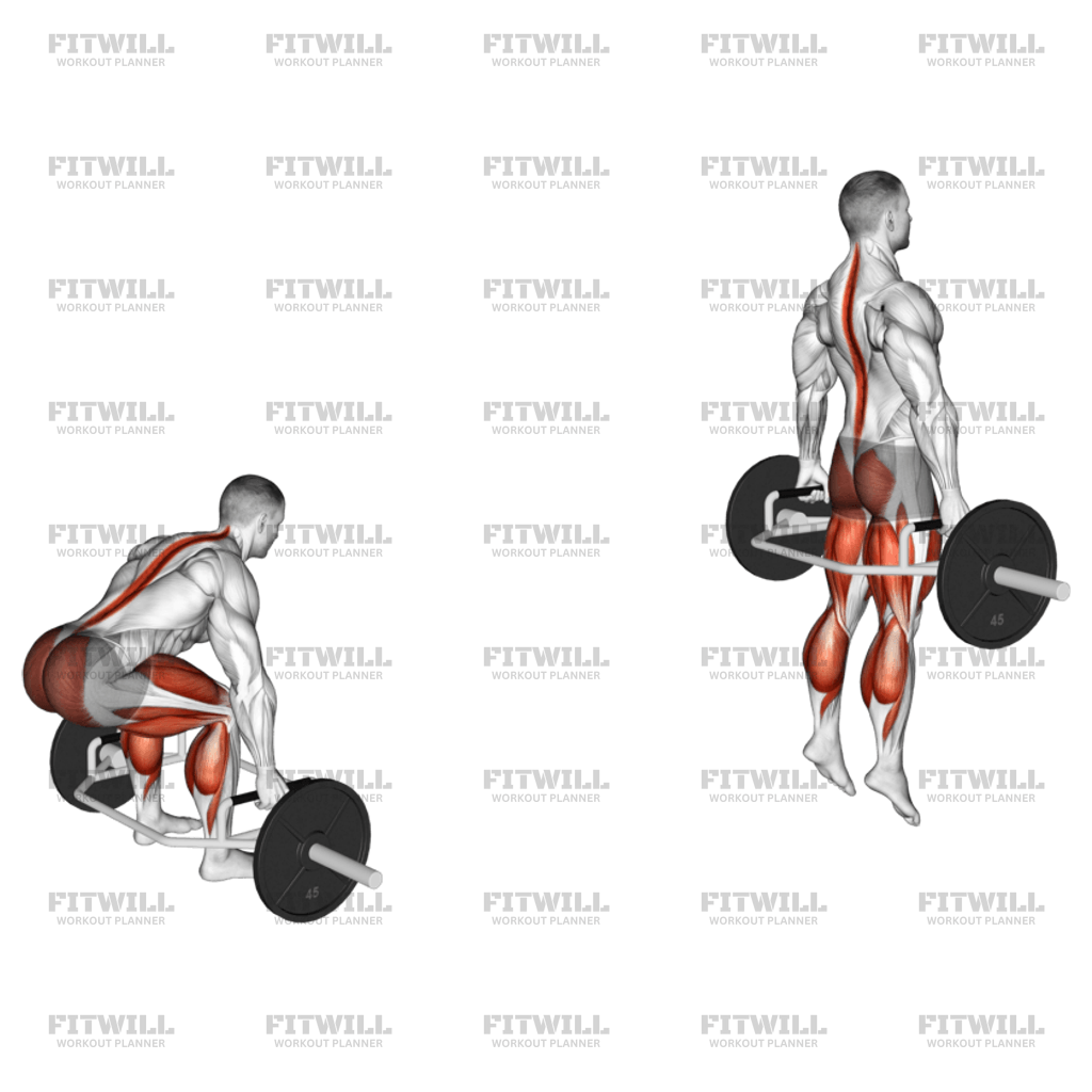 Trap Bar Jump Squat: Exercise Guide, Techniques, Benefits, How to ...