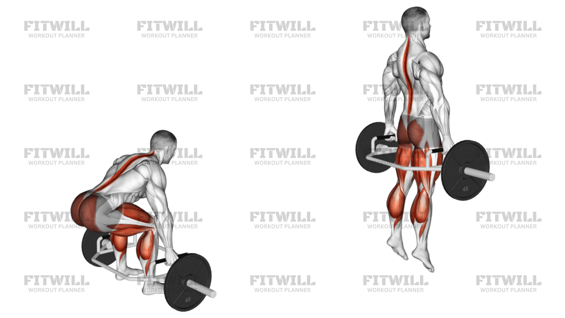 Trap Bar Jump Squat: Exercise Guide, Techniques, Benefits, How to ...