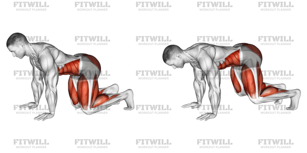 Bear Plank: Exercise Guide, Video, Techniques, Benefits, How to ...
