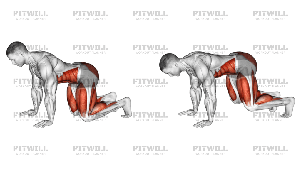 Bear Plank: Exercise Guide, Video, Techniques, Benefits, How to ...