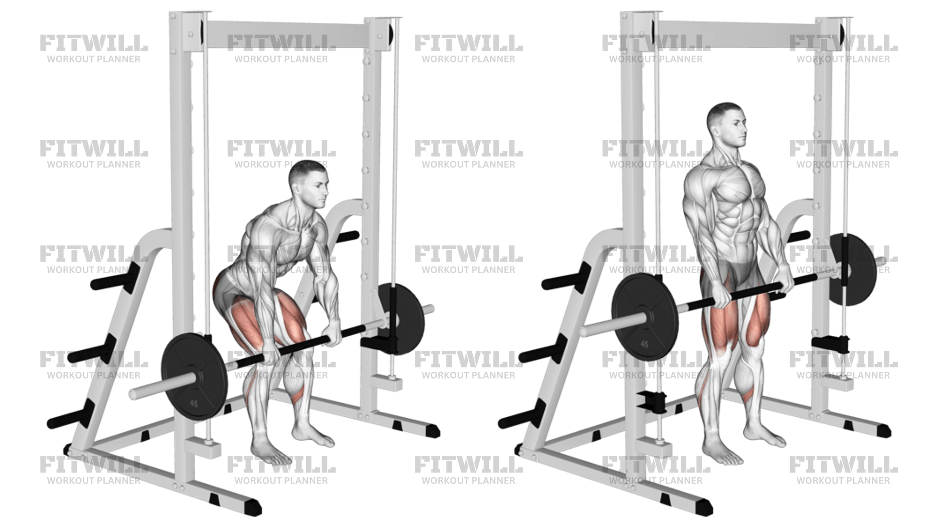 Remo En Rack Con Máquina Smith: Guía de Ejercicios, Técnicas ...