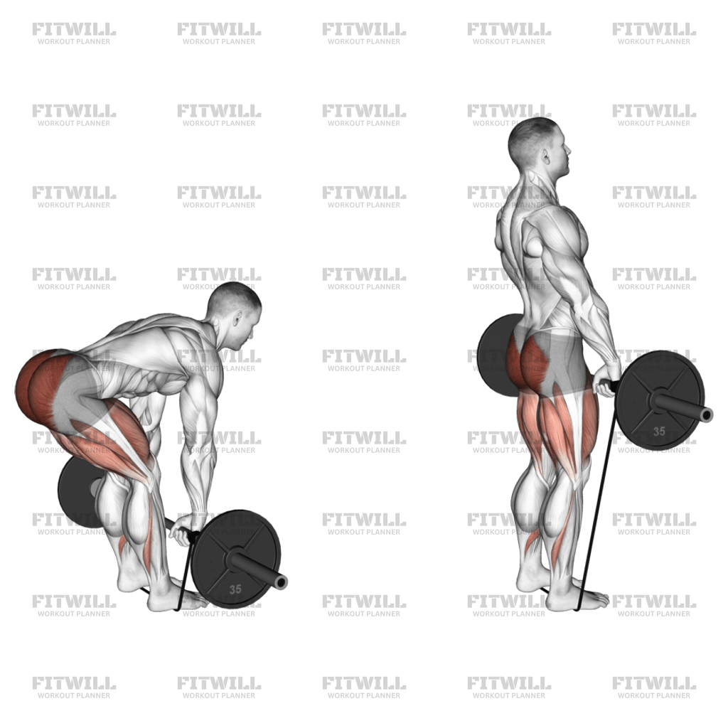 Barbell Banded Romanian Deadlift: Exercise Guide, Techniques, Benefits ...
