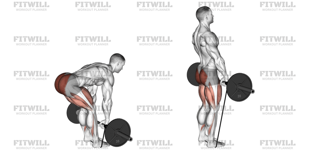 Peso Muerto Rumano Con Barra Y Bandas: Guía de Ejercicios, Técnicas, Beneficios, Cómo Realizarlo ...