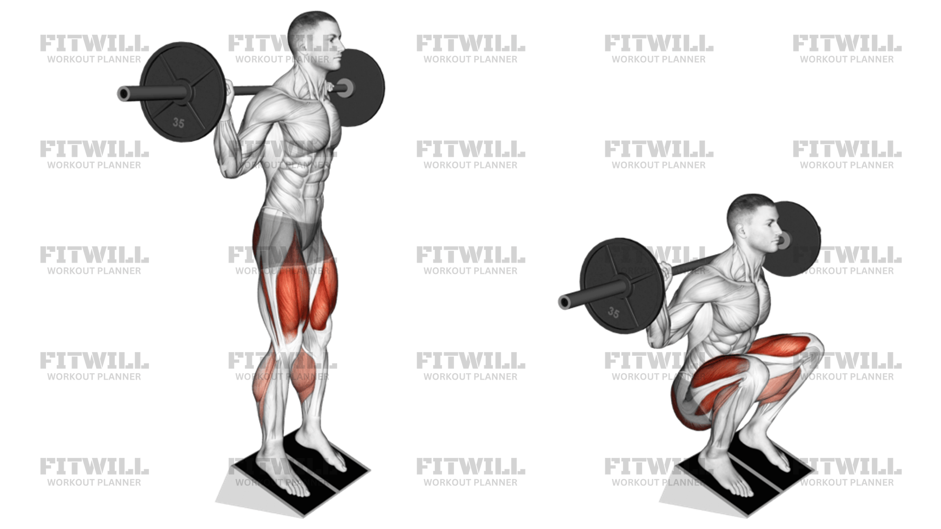 Barbell Elevated Heel Squat: Exercise Guide, Techniques, Benefits, How ...
