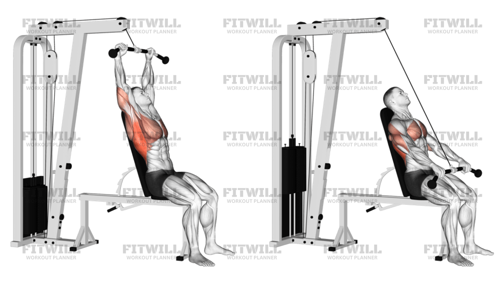 Cable Seated Pullover: Exercise Guide, Techniques, Benefits, How to ...