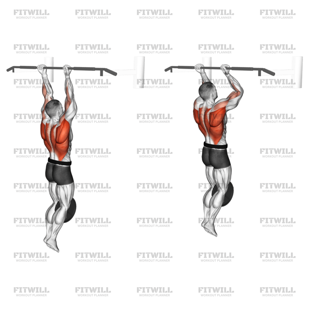 Weighted Hang Chin-Up: Exercise Guide, Video, Techniques, Benefits, How ...