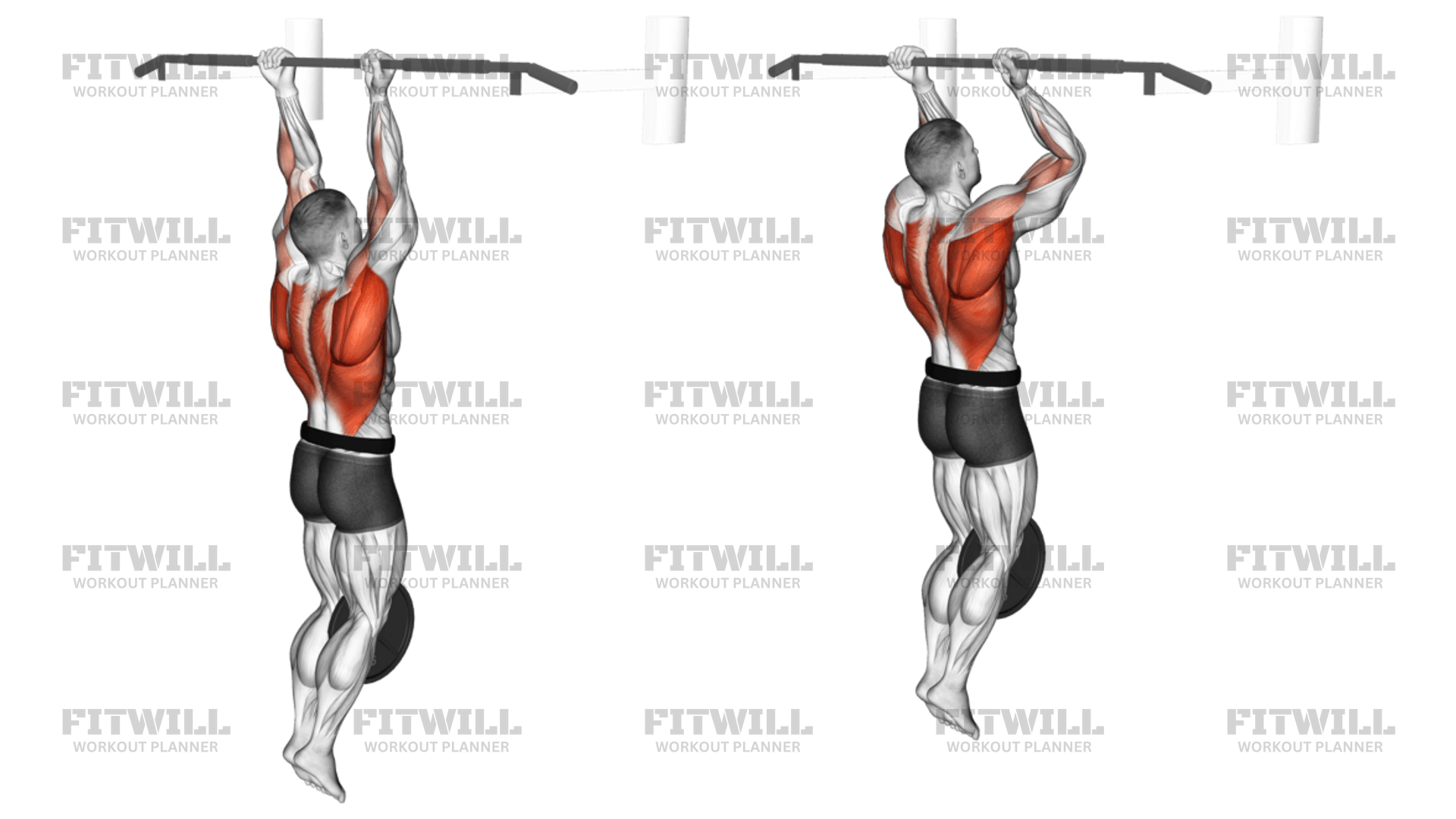 Weighted Hang Chin-Up: Exercise Guide, Video, Techniques, Benefits, How ...