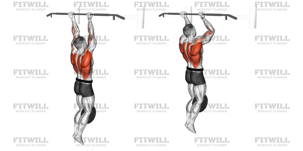 Weighted Hang Chin-Up: Exercise Guide, Video, Techniques, Benefits, How ...