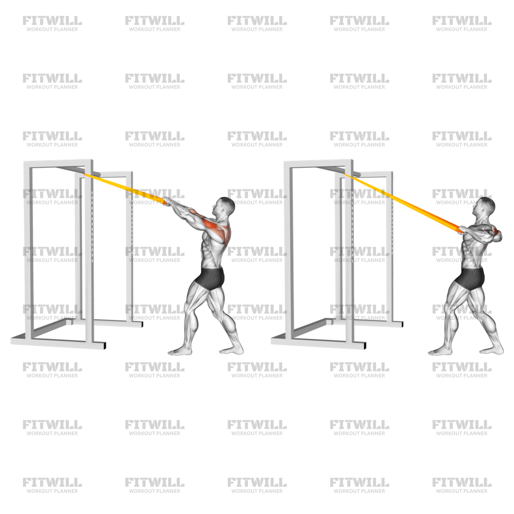 Resistance Band Rear Delt Row: Exercise Guide, Techniques, Benefits ...