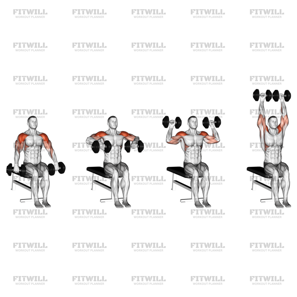 Dumbbell Seated Cuban Press: Exercise Guide, Techniques, Benefits, How ...