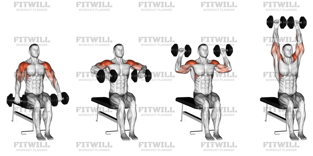 Dumbbell Seated Cuban Press: Exercise Guide, Techniques, Benefits, How ...