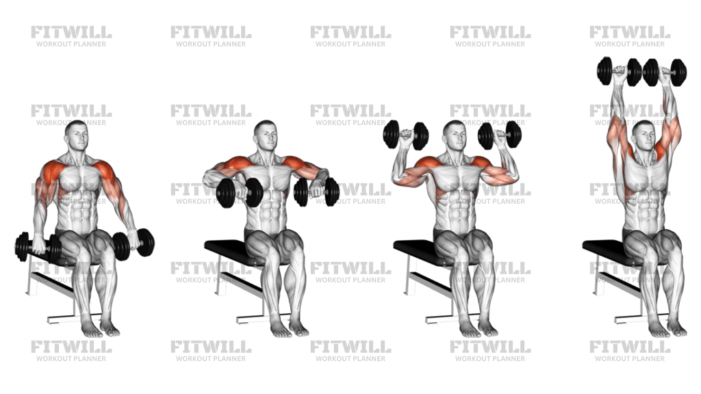 Dumbbell Seated Cuban Press: Exercise Guide, Techniques, Benefits, How ...