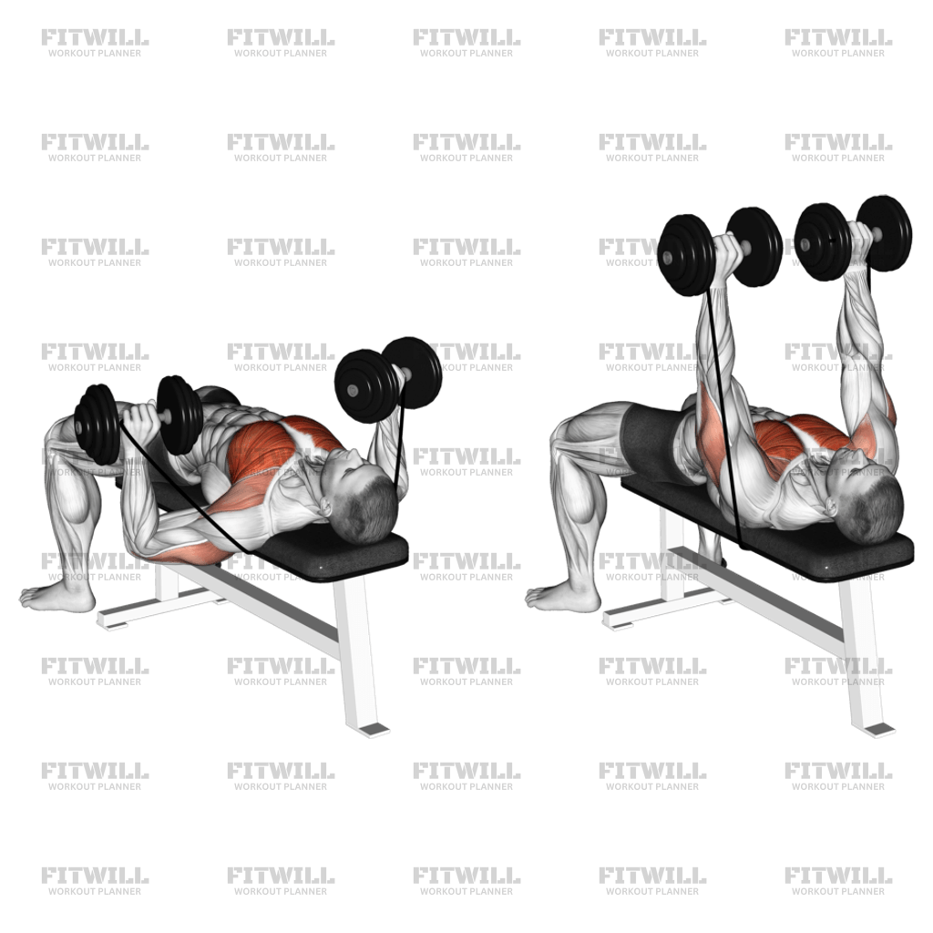 Dumbbell Banded Bench Press: Exercise Guide, Techniques, Benefits, How ...