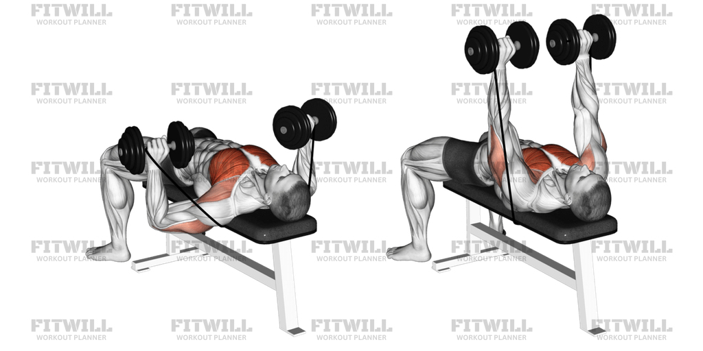 Dumbbell Banded Bench Press: Exercise Guide, Techniques, Benefits, How ...