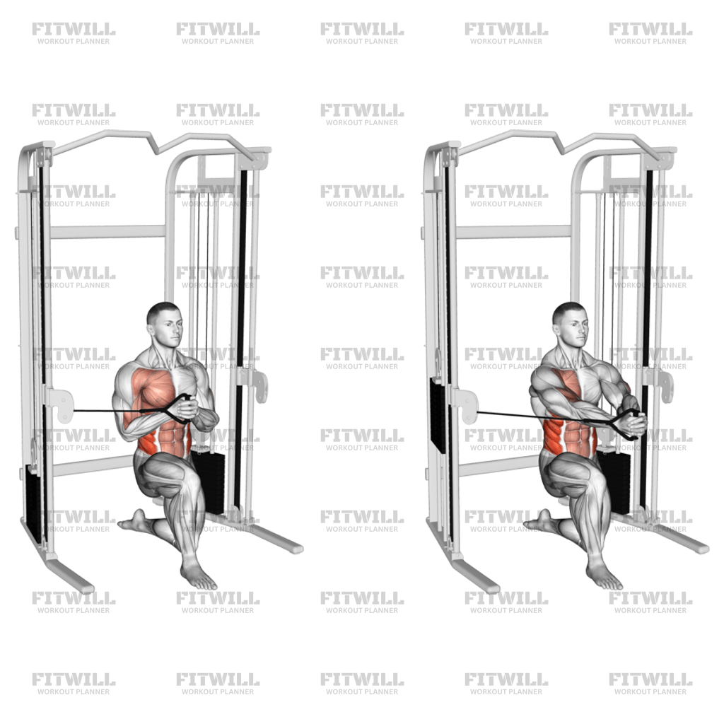 Cable Half Kneeling Pallof Press: Exercise Guide, Video, Techniques ...
