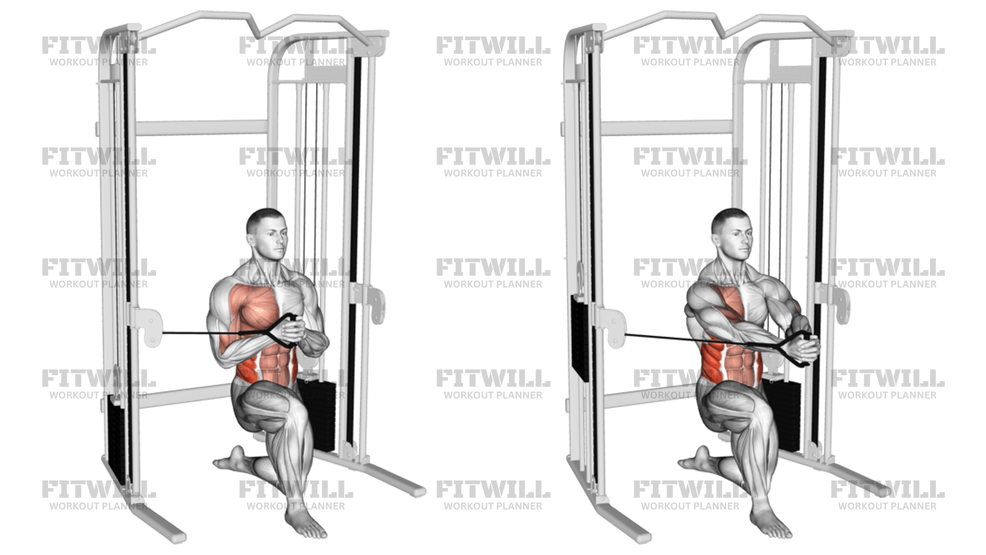 Cable Half Kneeling Pallof Press: Exercise Guide, Video, Techniques ...