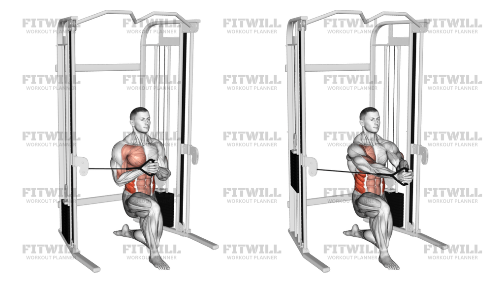 Cable Half Kneeling Pallof Press: Exercise Guide, Video, Techniques ...