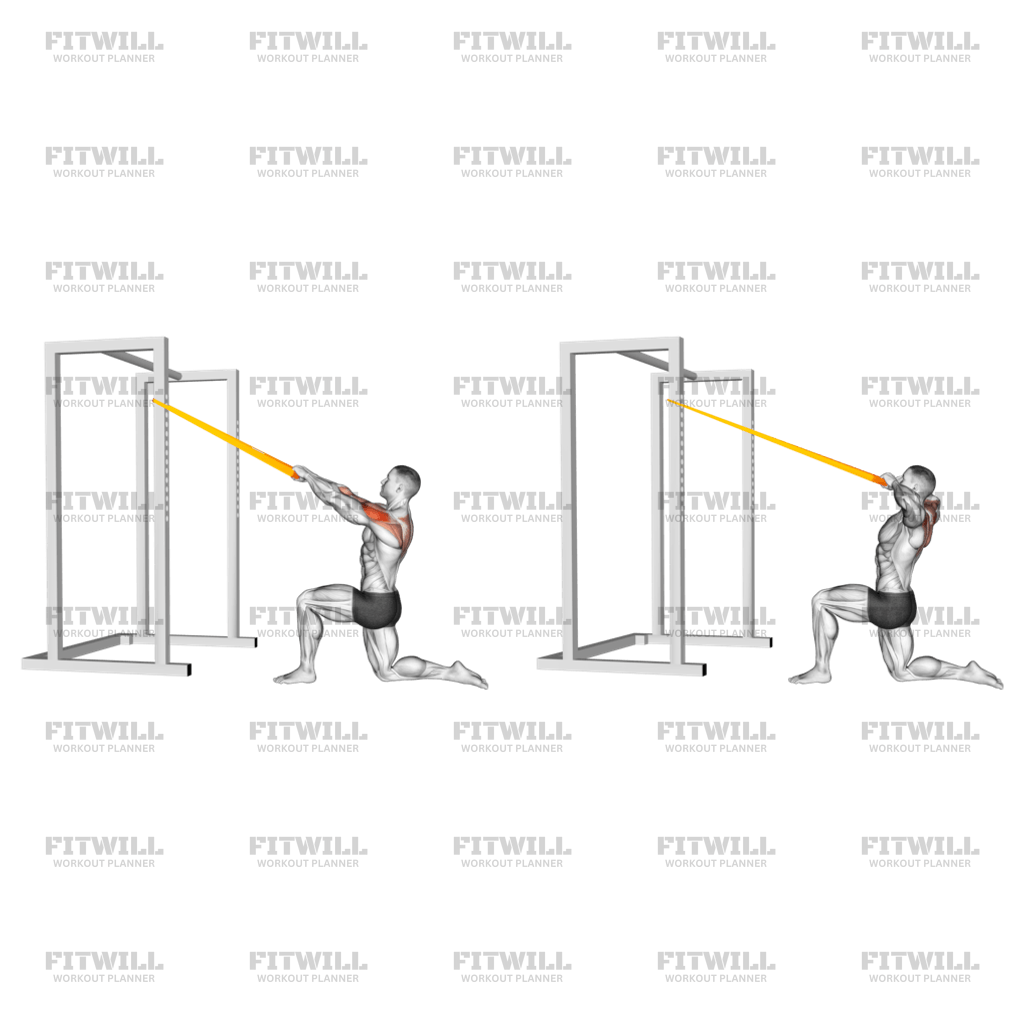 Resistance Band Half Kneeling Face Pull: Exercise Guide, Video ...