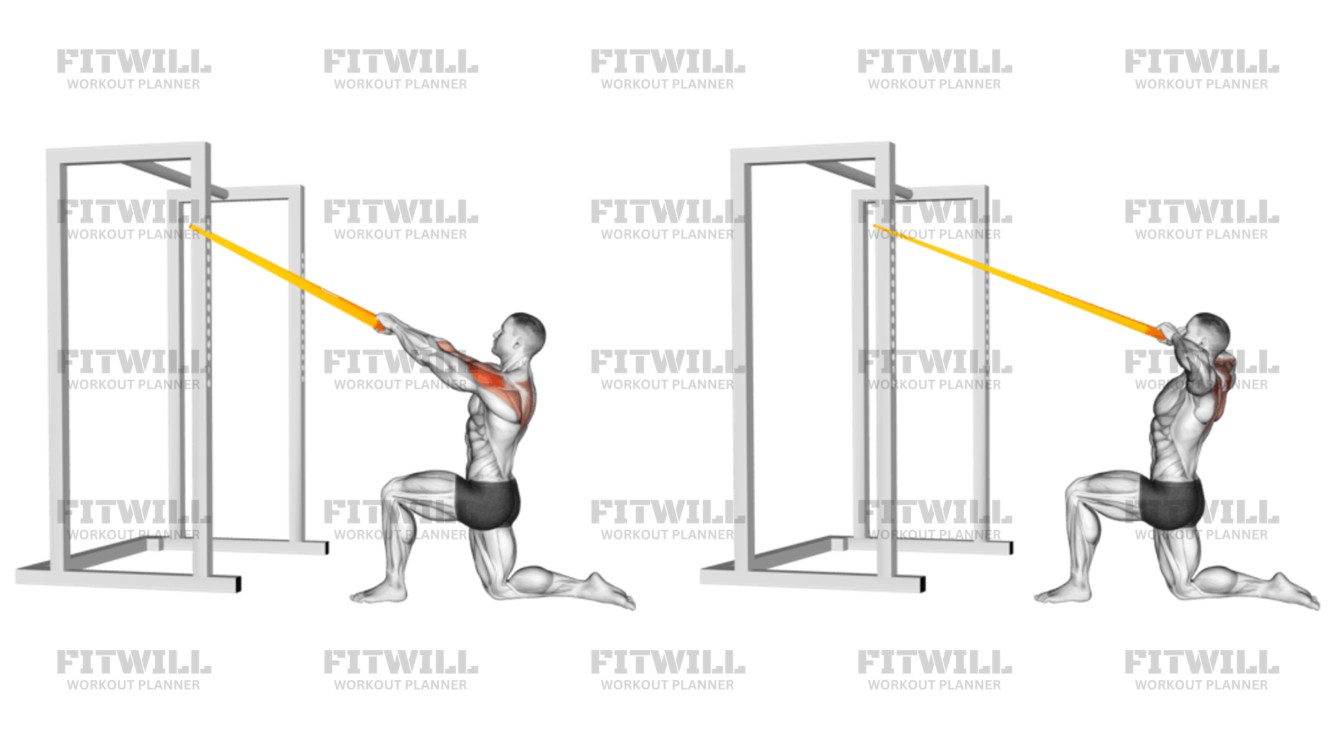Resistance Band Half Kneeling Face Pull: Exercise Guide, Video ...