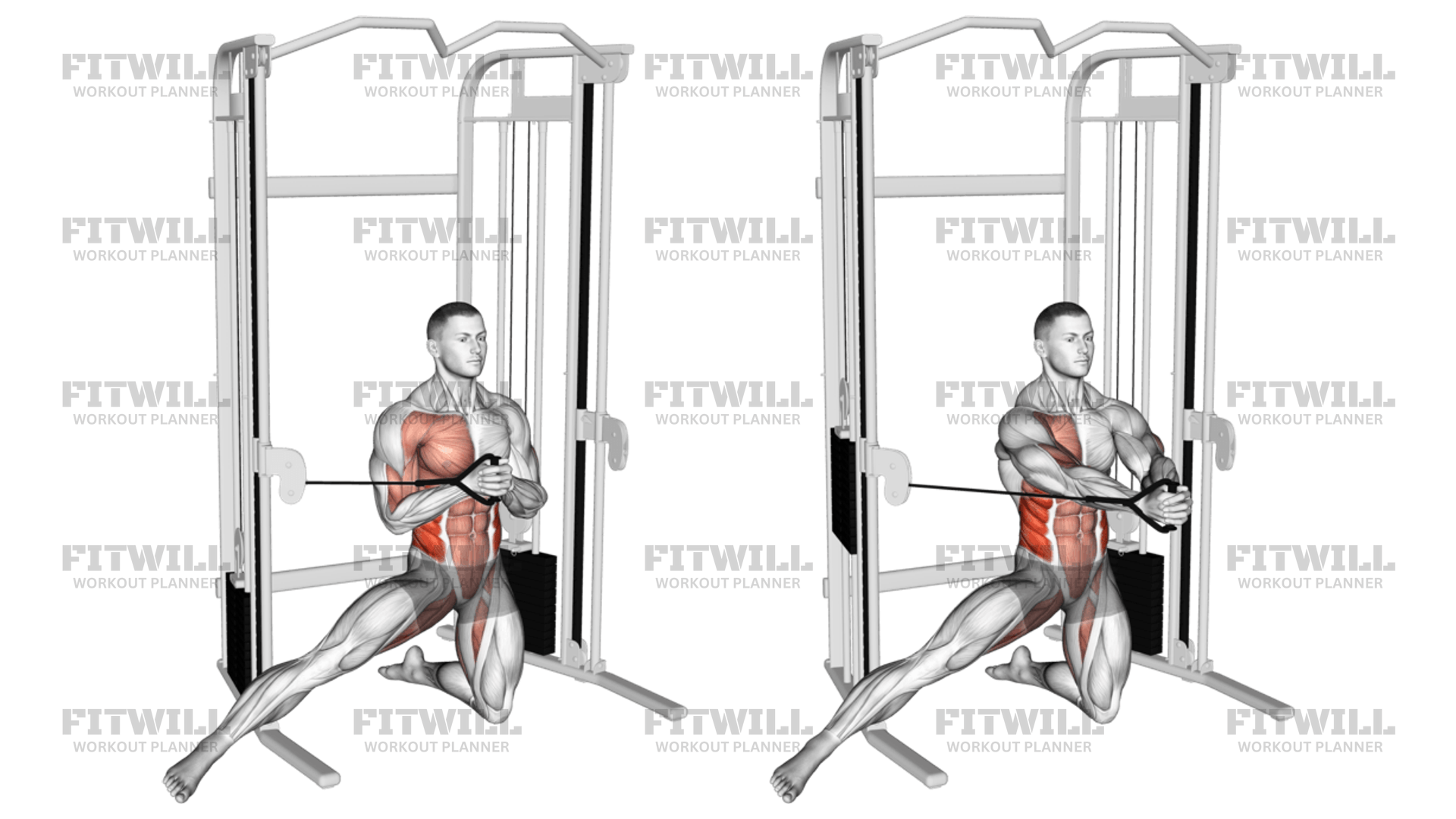 Cable Half Kneeling Adductor Pallof Press: Exercise Guide, Techniques ...