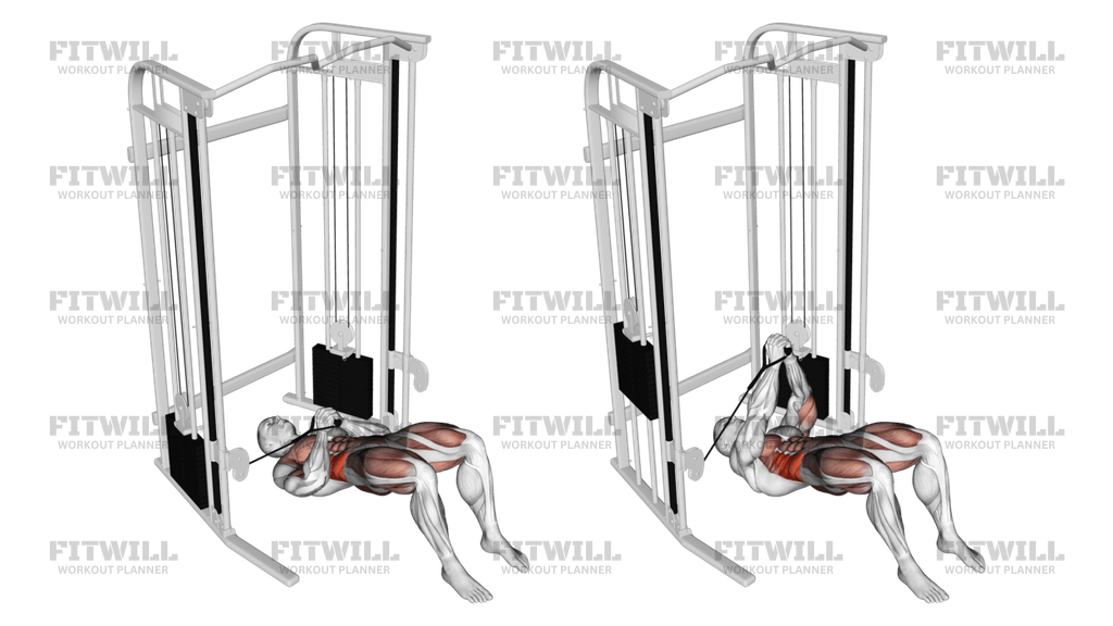 Cable Pallof Press With Glute Bridge: Exercise Guide, Techniques ...