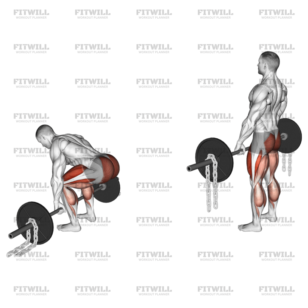 Barbell Deadlift Against Chains: Exercise Guide, Techniques, Benefits ...
