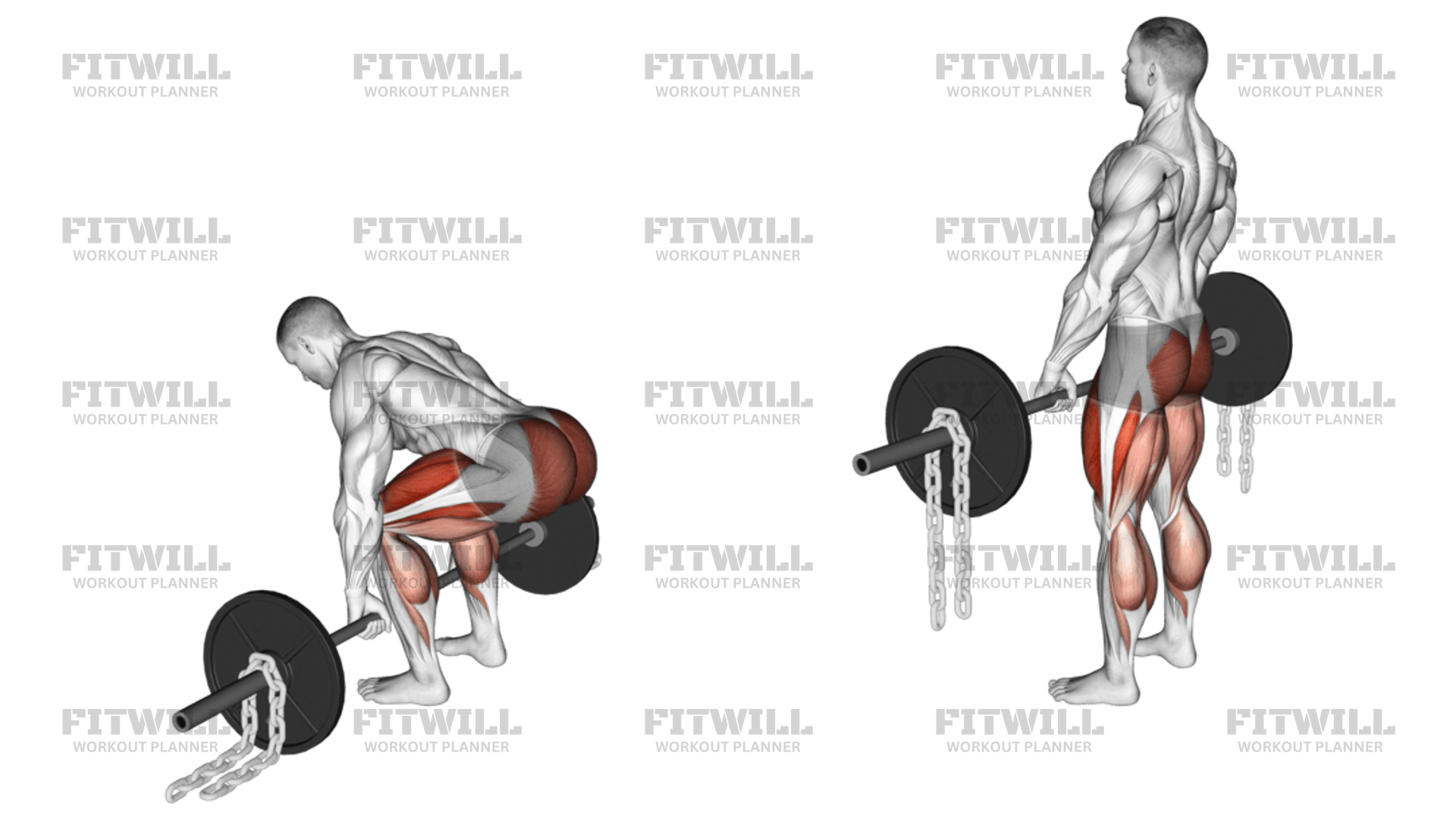Barbell Deadlift Against Chains: Exercise Guide, Techniques, Benefits ...