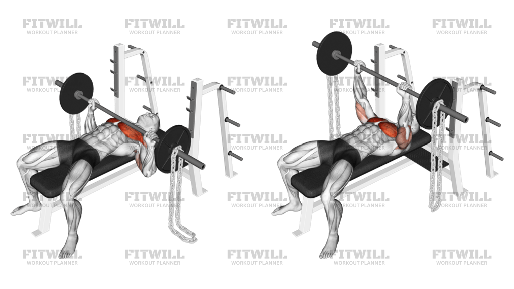 Barbell Bench Press Against Chains: Exercise Guide, Techniques ...