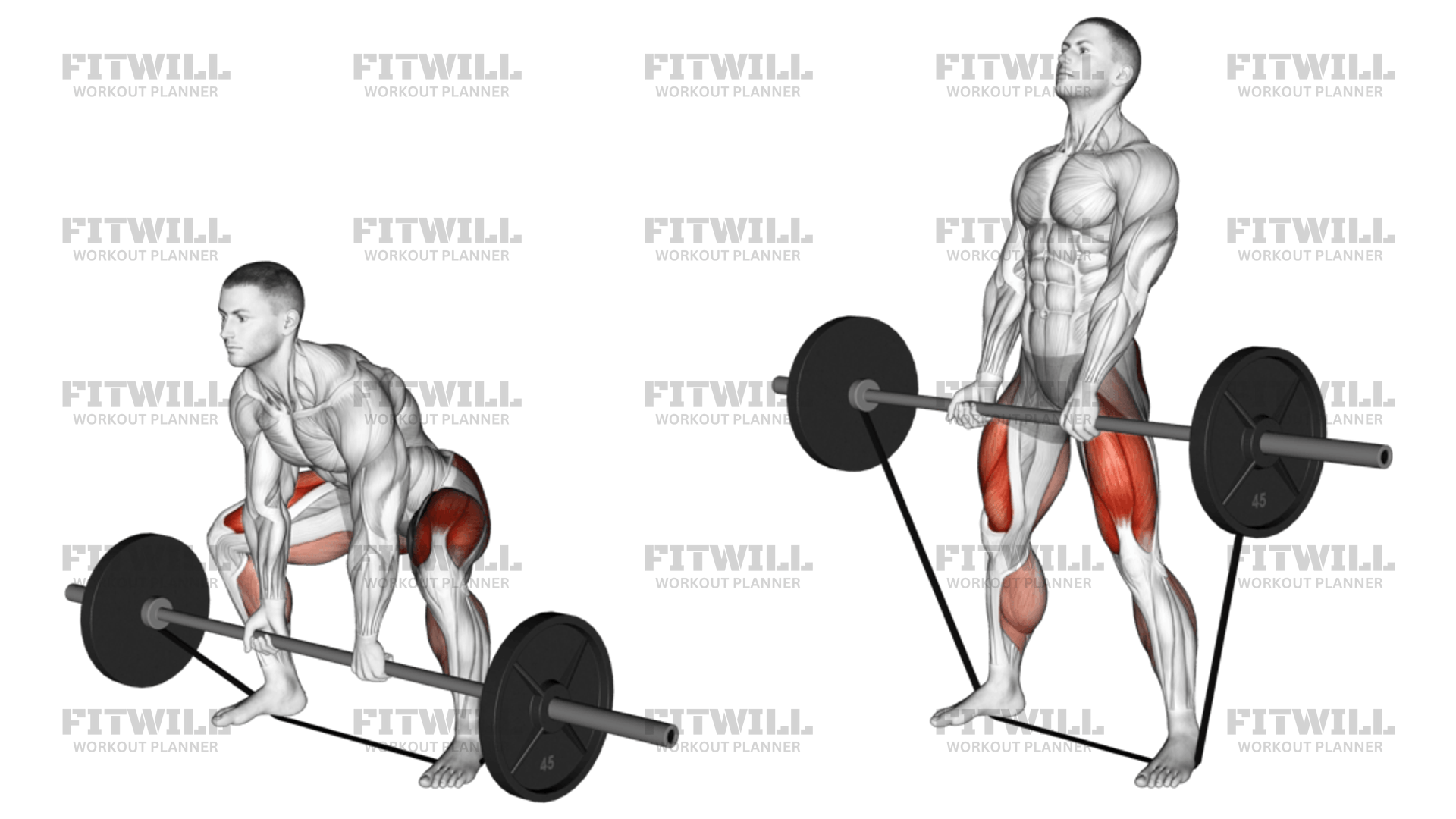 Barbell Banded Sumo Deadlift: Exercise Guide, Techniques, Benefits, How ...