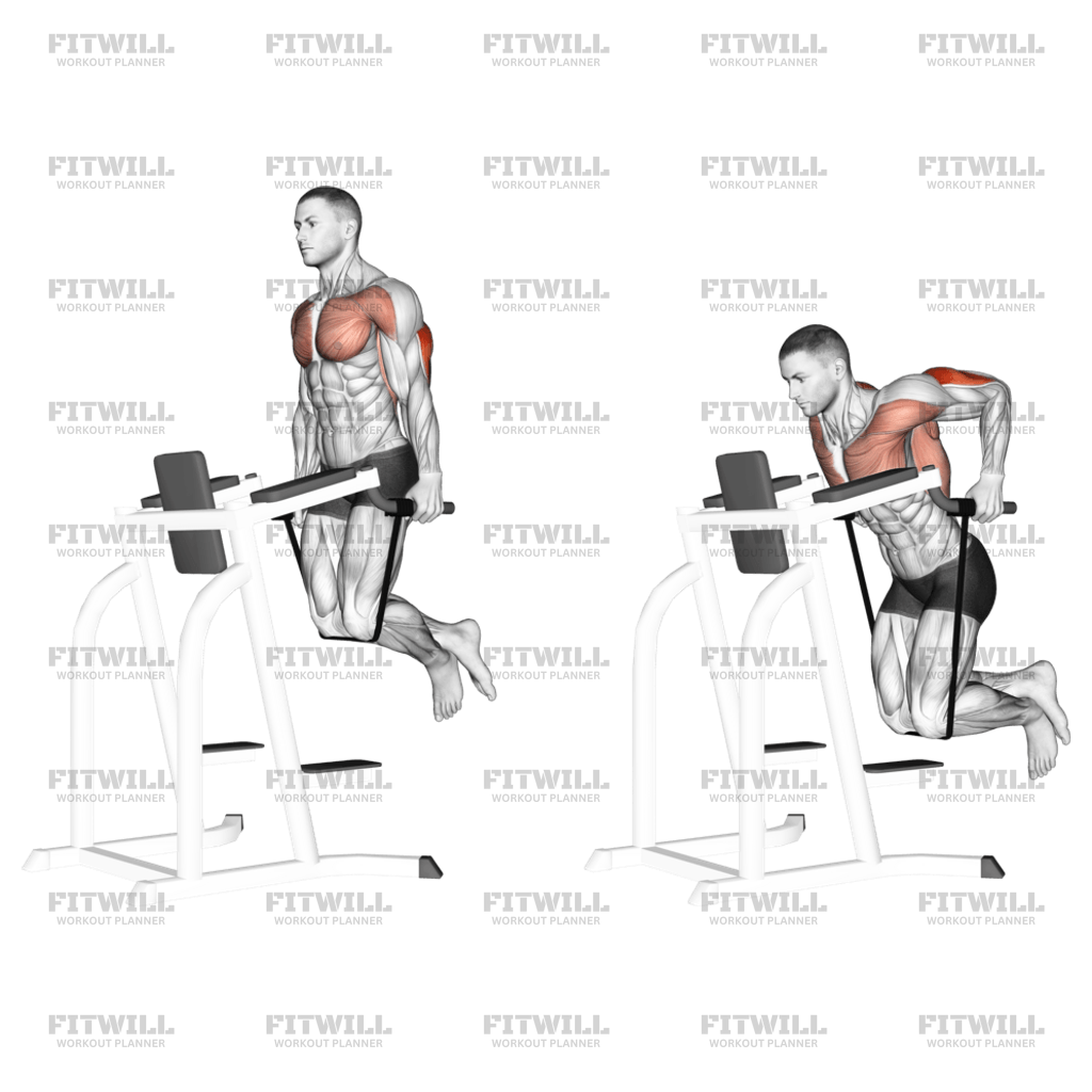 Band Assisted Dip: Exercise Guide, Video, Techniques, Benefits, How to ...