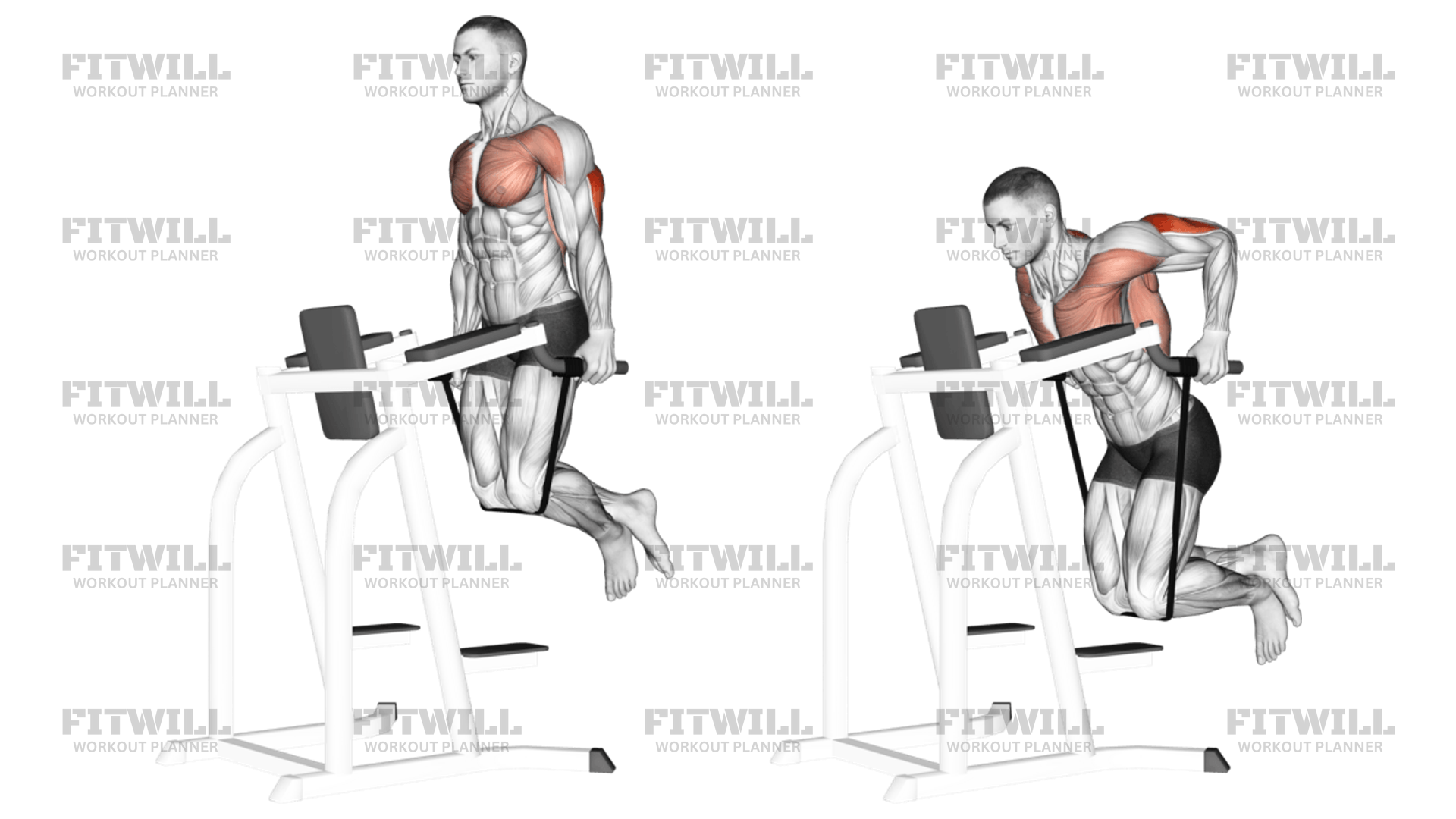 Band Assisted Dip: Exercise Guide, Video, Techniques, Benefits, How to ...