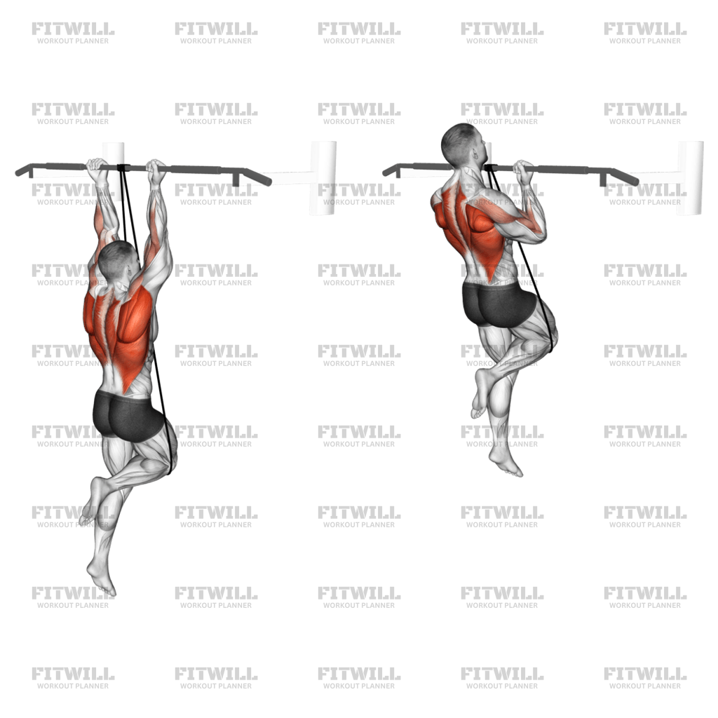 Band Assisted Chin-Up (From Knee): Exercise Guide, Video, Techniques ...
