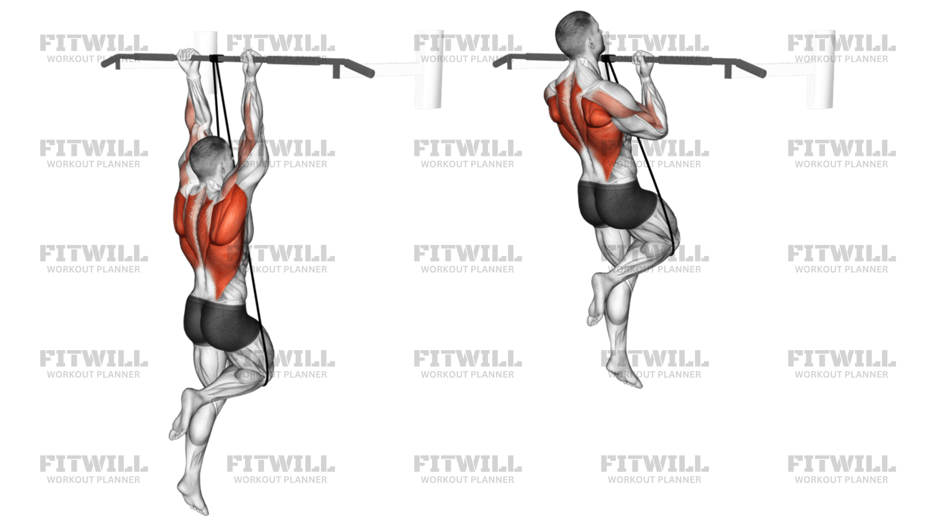 Band Assisted Chin-Up (From Knee): Exercise Guide, Video, Techniques ...