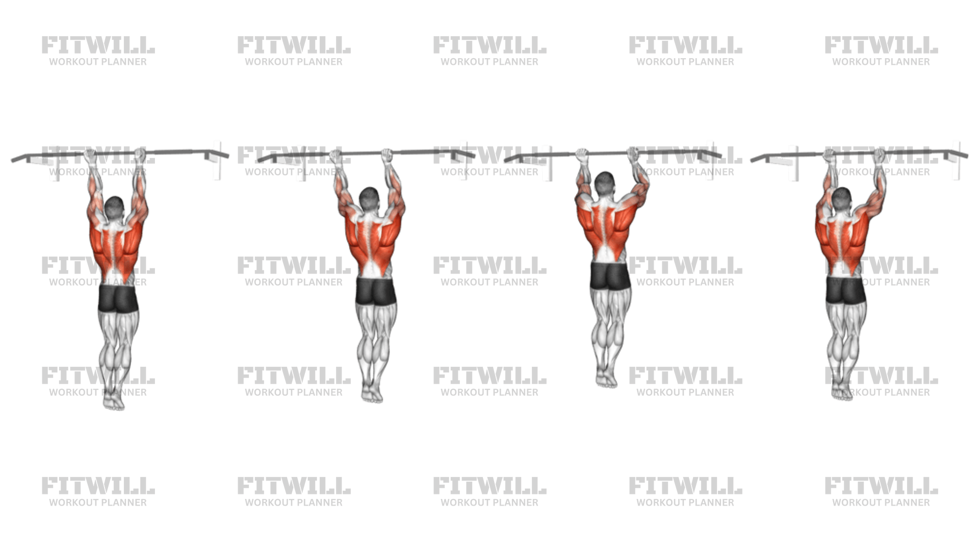 Chin-Up Around The Bar: Exercise Guide, Techniques, Benefits, How to ...