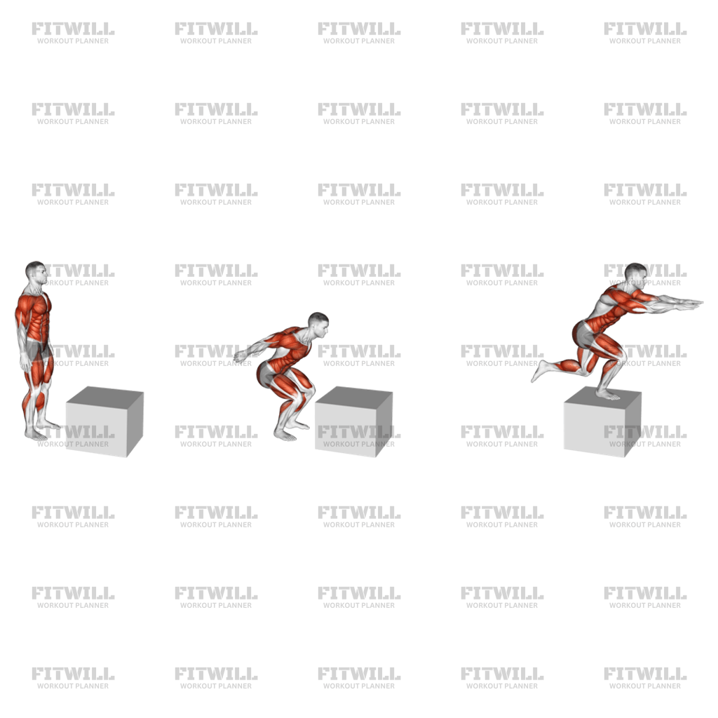 2 To 1 Jump Box: Exercise Guide, Techniques, Benefits, How to, Muscles ...