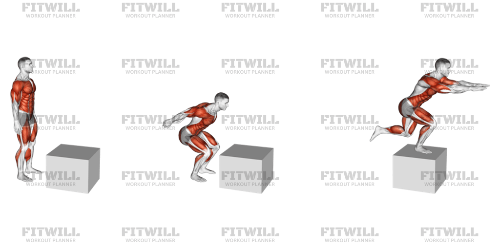 2 To 1 Jump Box: Exercise Guide, Techniques, Benefits, How to, Muscles ...
