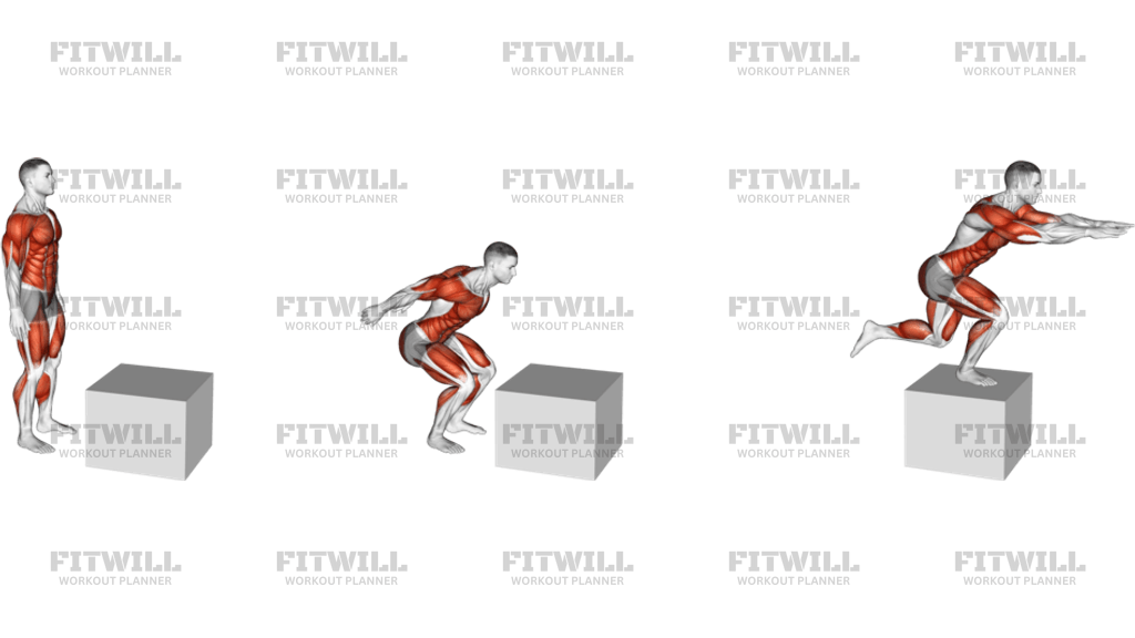 Exercise Library | Fitwill