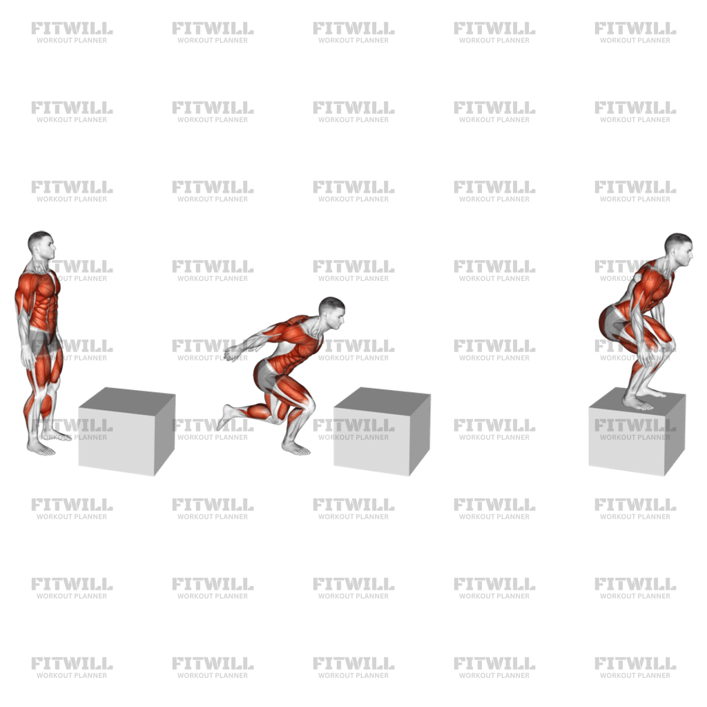 1 To 2 Jump Box: Exercise Guide, Techniques, Benefits, How to, Muscles ...