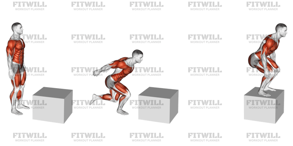 1 To 2 Jump Box: Exercise Guide, Techniques, Benefits, How to, Muscles ...