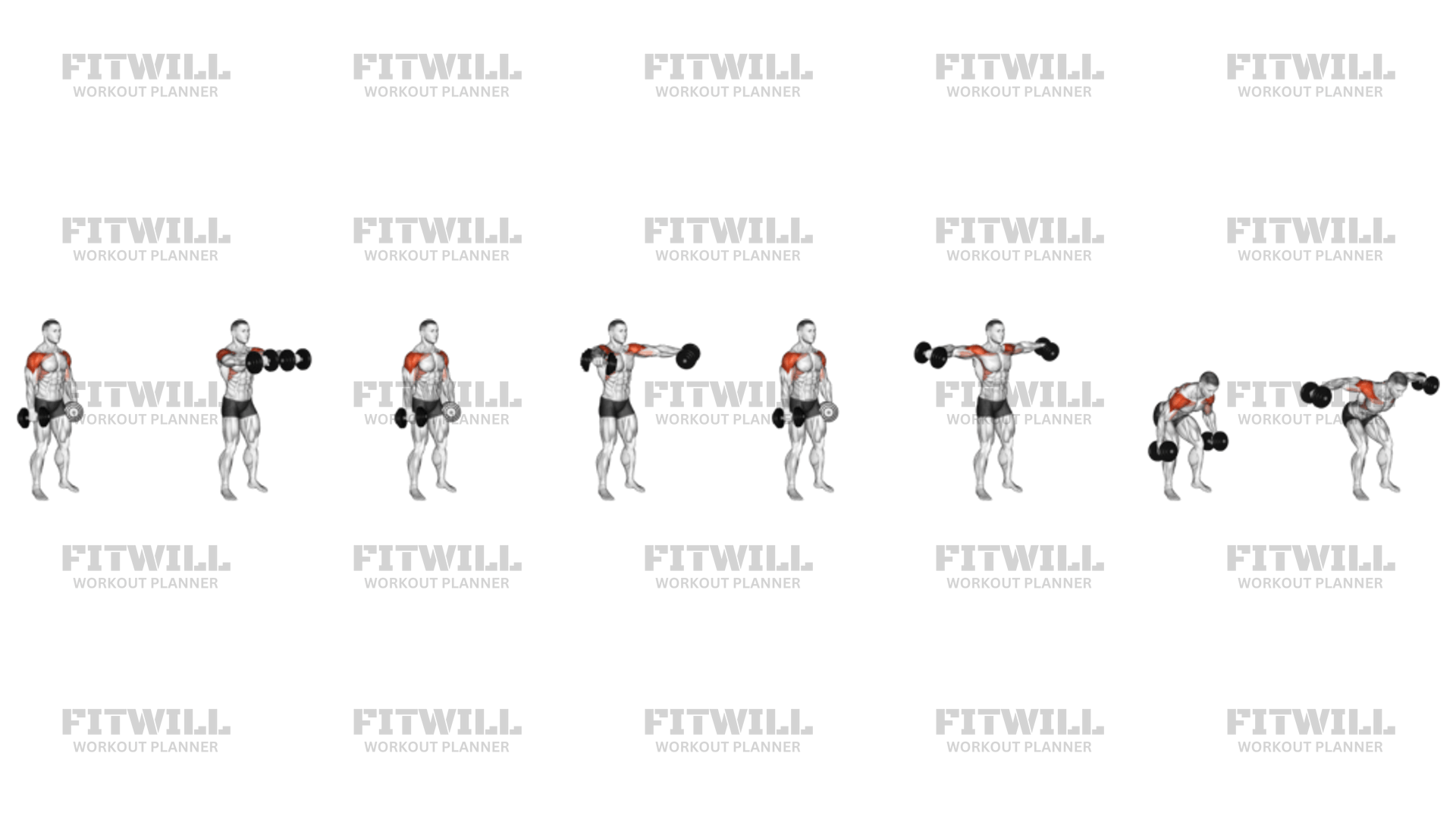 Dumbbell 4 Ways Lateral Raise: Exercise Guide, Techniques, Benefits, How to, Muscles Worked ...
