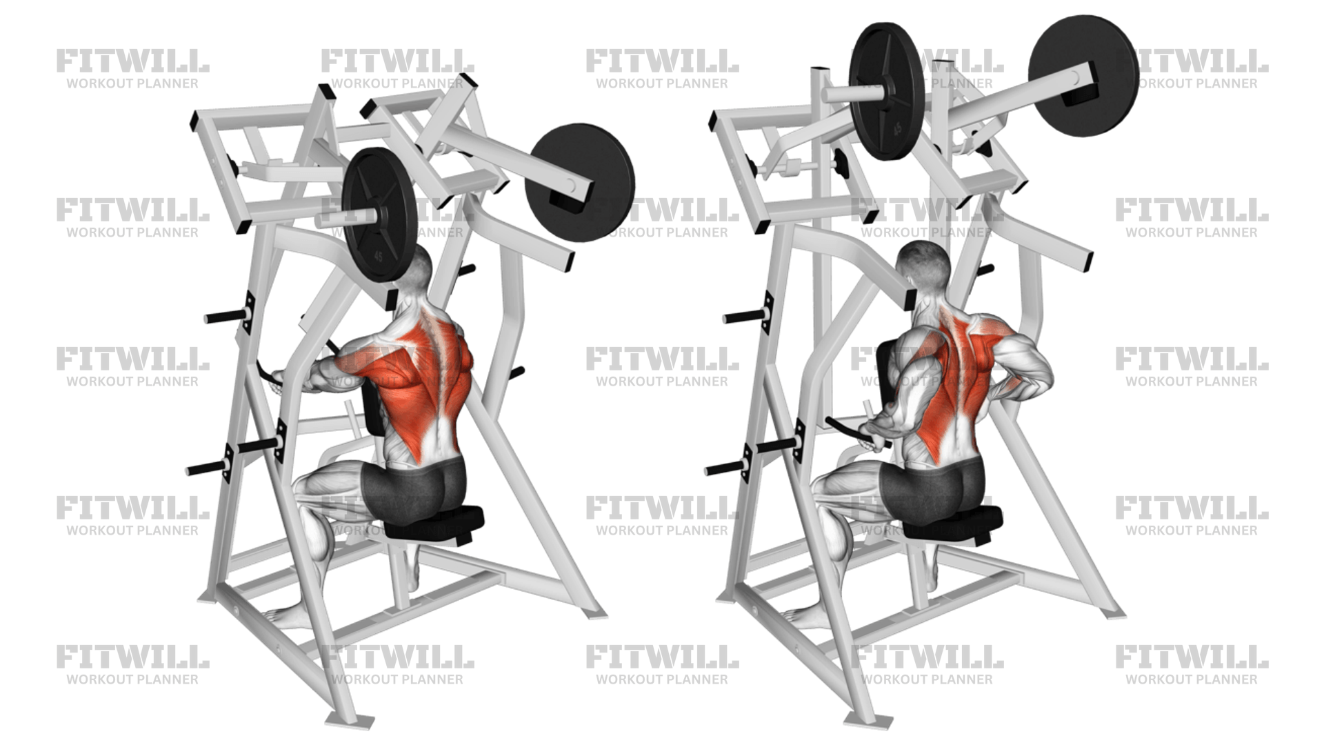 Lever Low Row (plate Loaded): Exercise Guide, Video, Techniques ...