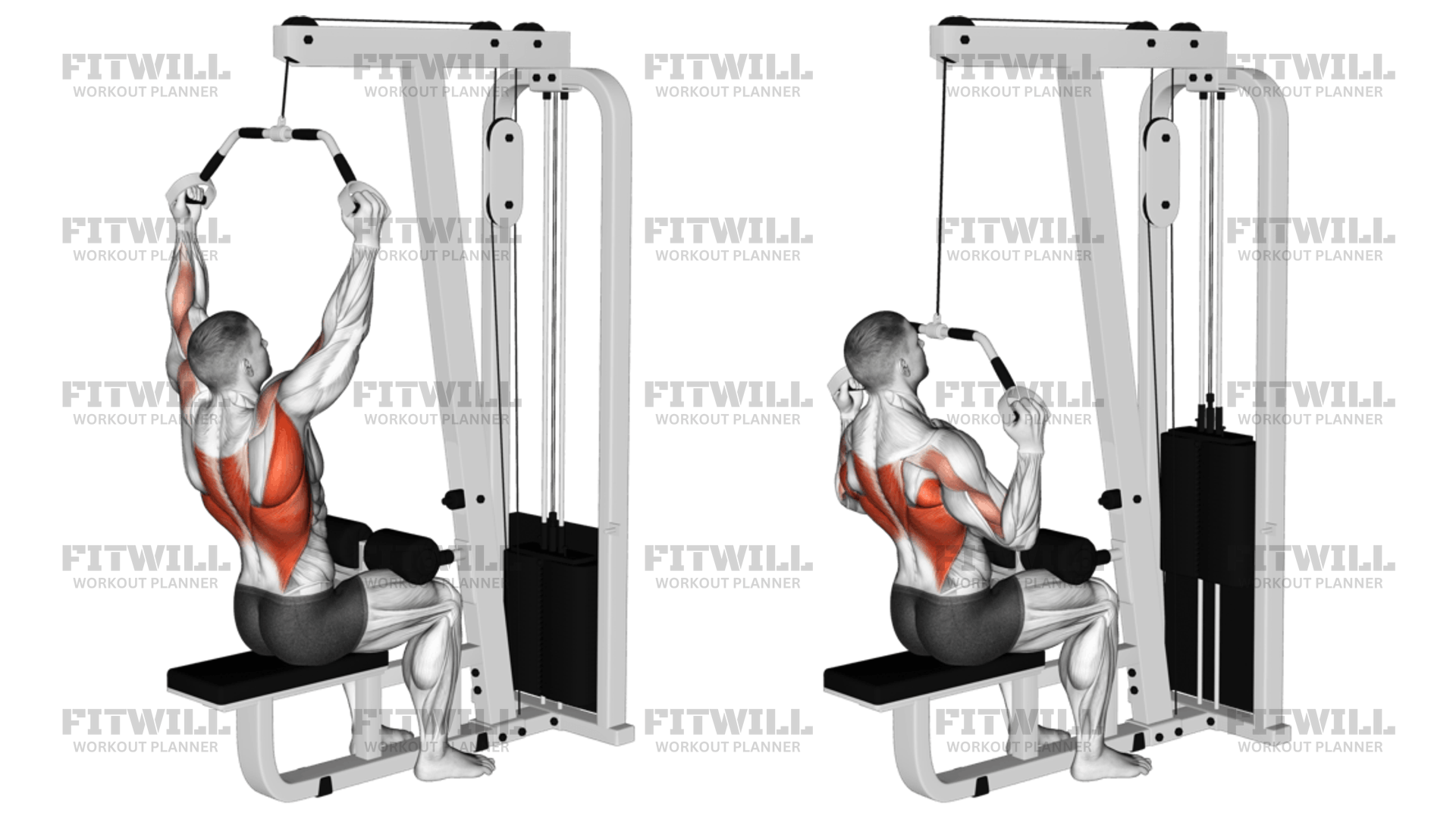 Cable Wide Neutral Grip PullDown: Exercise Guide, Techniques, Benefits ...