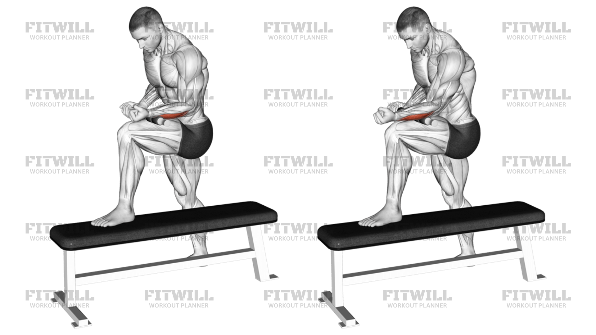 Tiger Tail Forearm: Exercise Guide, Techniques, Benefits, How to ...